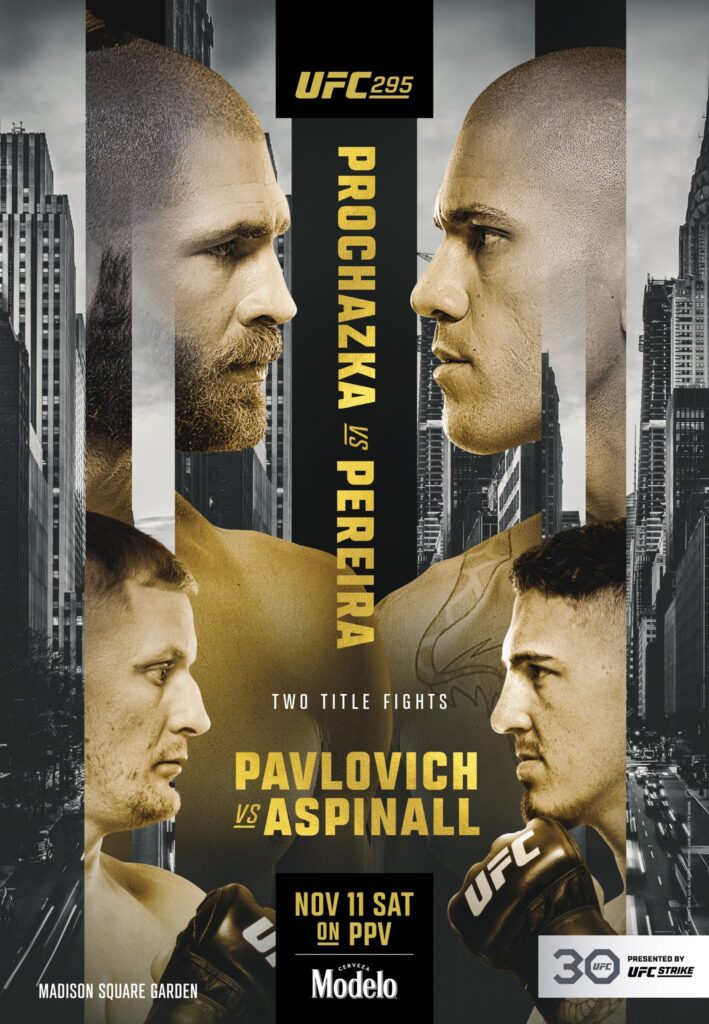 Se revela nuevo póster para el UFC 295 - MMA AL DÍA